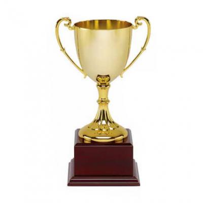 Medium Gold Cup 24cm